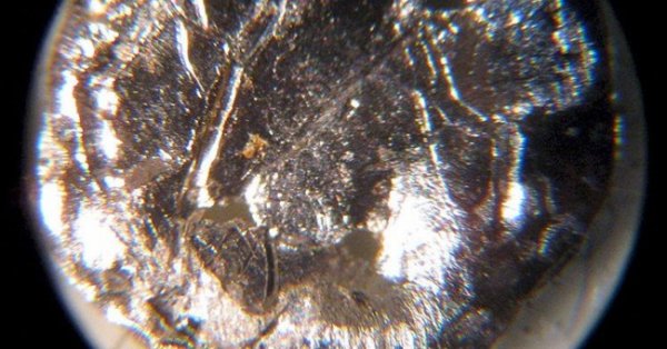 Открили 80 плочки америций, продавали ги по 5000 евро едната - Новини от Dnes.bg