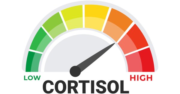 Хитри начини да намалите кортизола - Новини от Dnes.bg