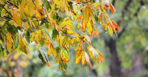 Времето днес: Превалявания, на места слънцето ще се показва - Новини от Dnes.bg