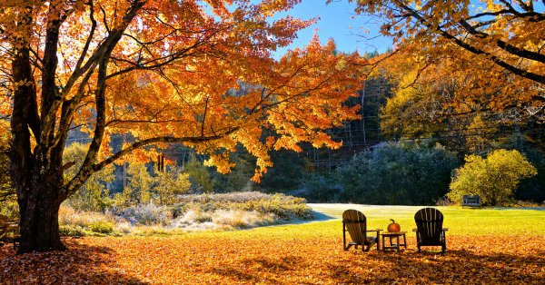 Хороскоп за седмицата – какво да очаква всяка зодия - Новини от Dnes.bg