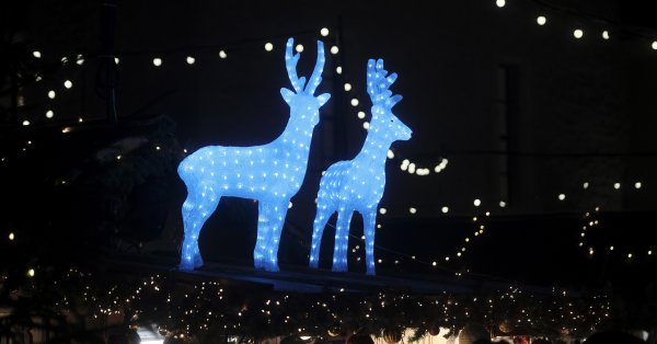 AI измами туристи, че пред Бъкингамския дворец имало коледен базар - Новини от Dnes.bg