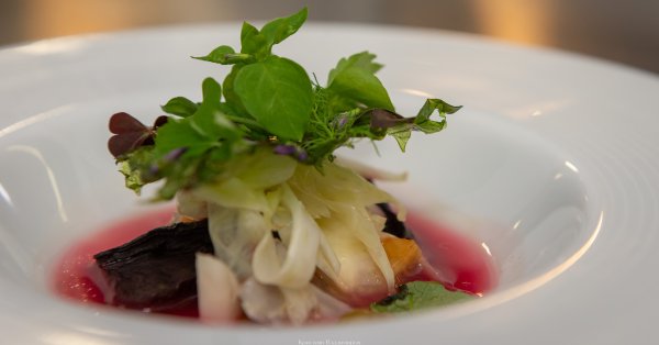 Шефове със звезди Мишлен с уникално меню СНИМКИ - Новини от Dnes.bg